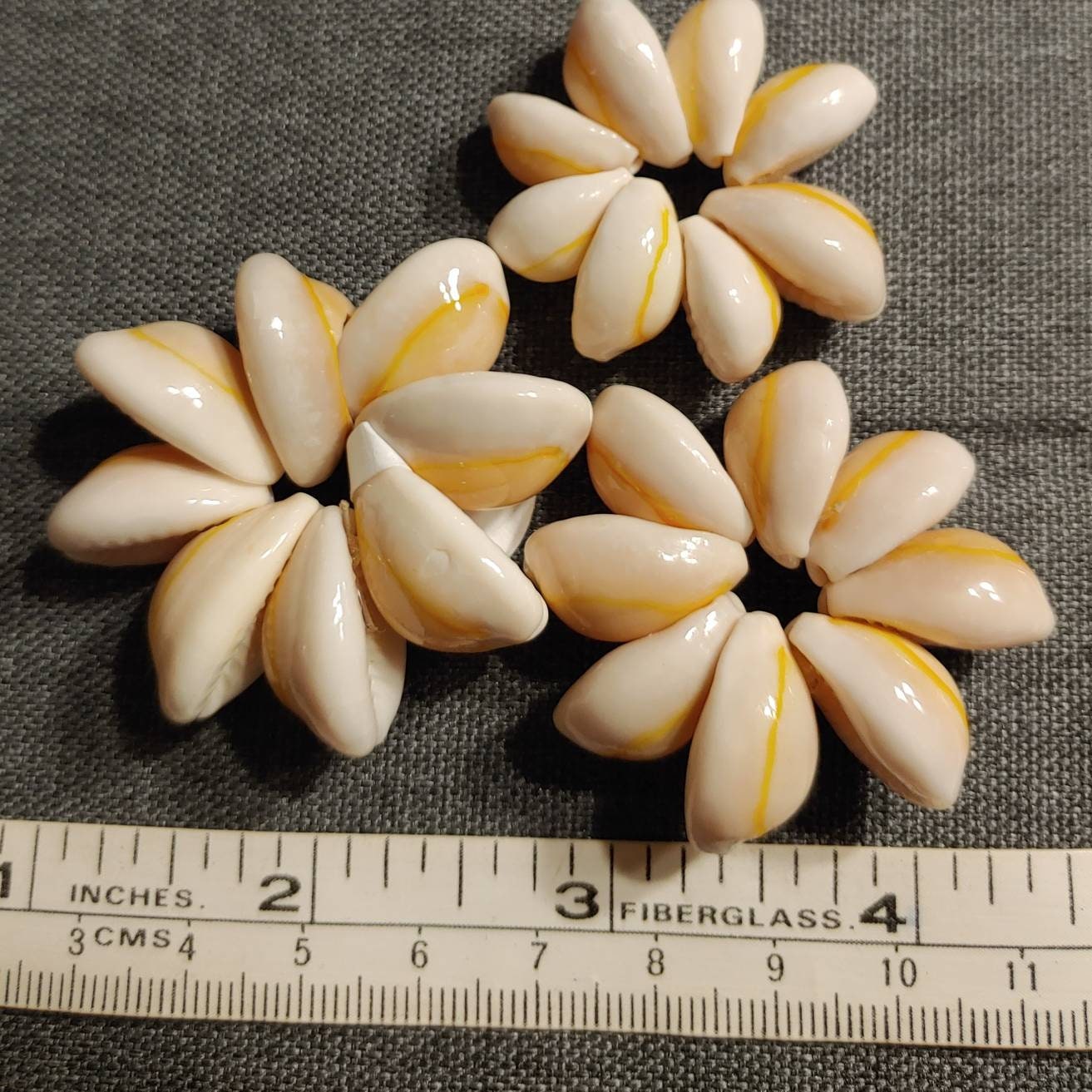 Ring Top Cowrie Shell Flower. Beautiful Orange Yellow Rings on | Etsy