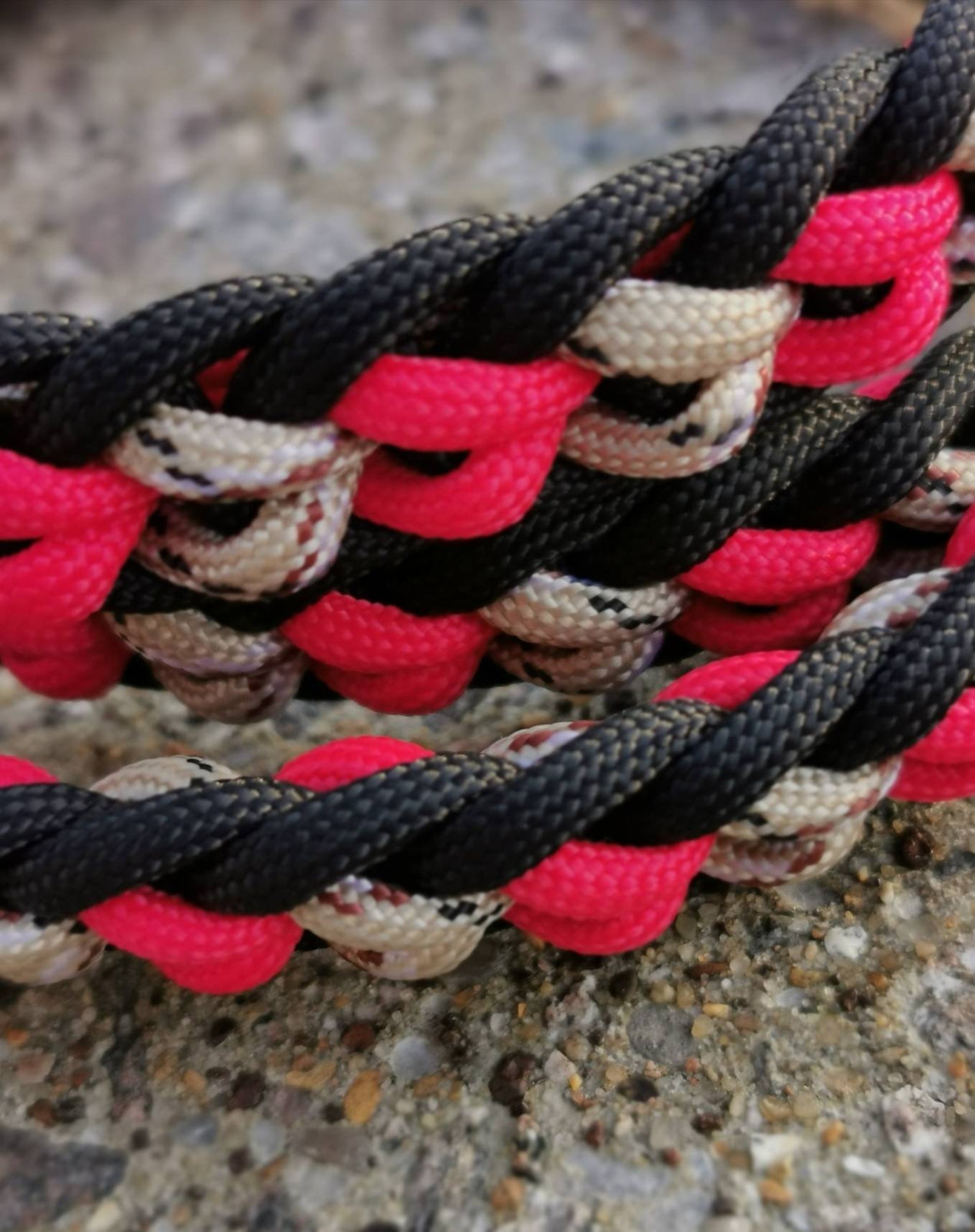 Paracord Dog Slip Lead/leash Custom Made Available in 4 - Etsy