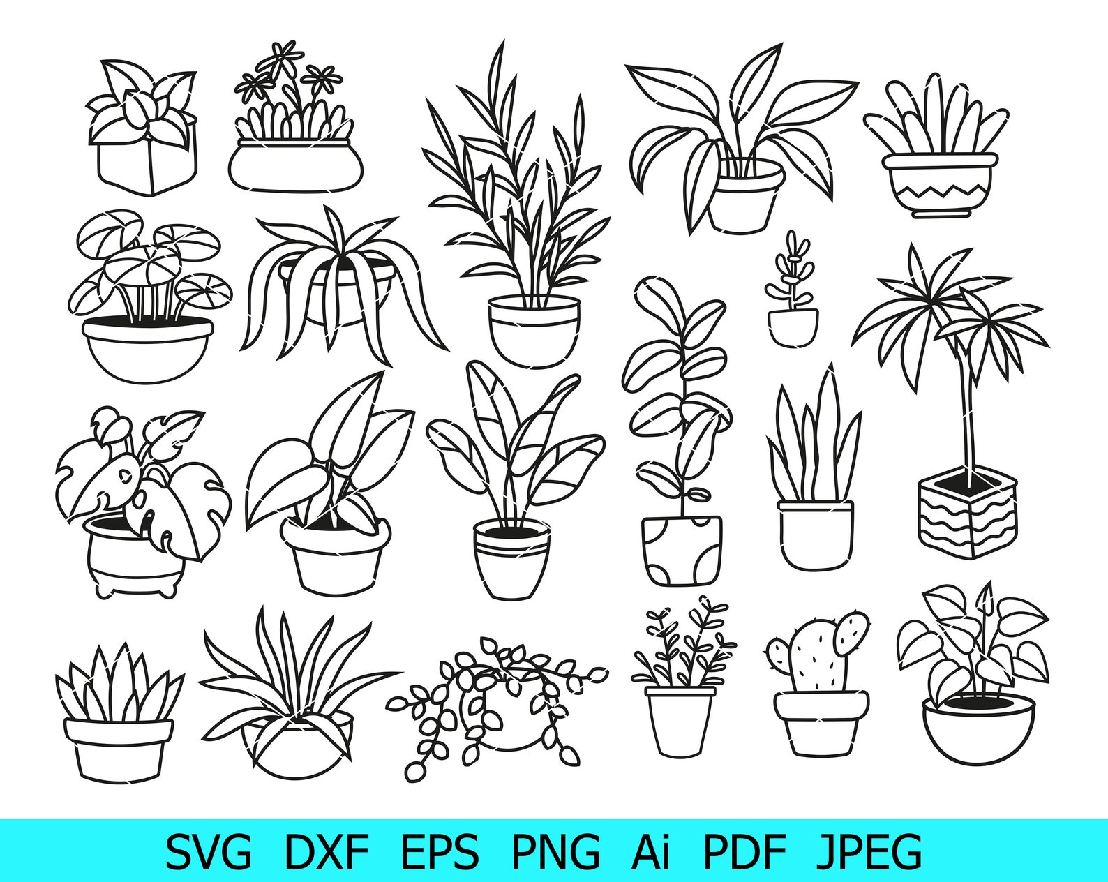 Flowers in Pots Svg, House Plants Png, Flowers Svg Bundle, Flowers in ...