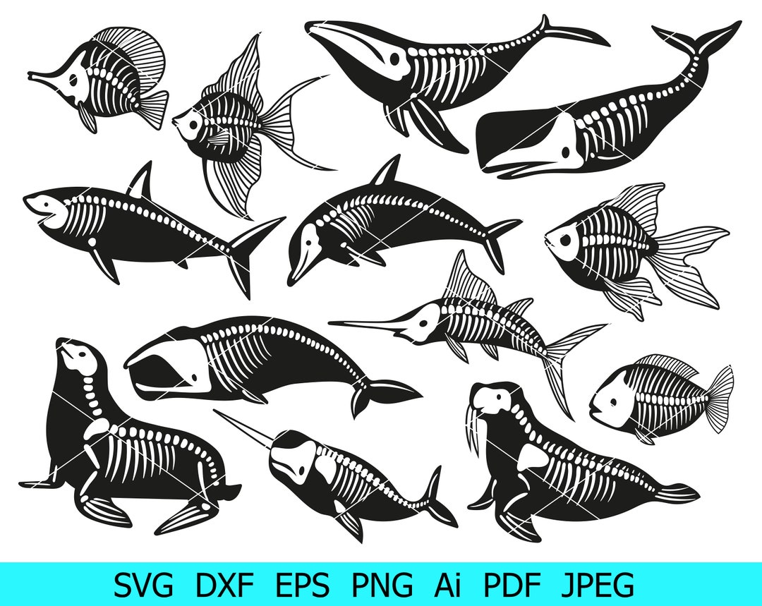 Fish Skeleton Svg,fish Skeleton Png Bundle,fish Svg,walrus Silhouette ...