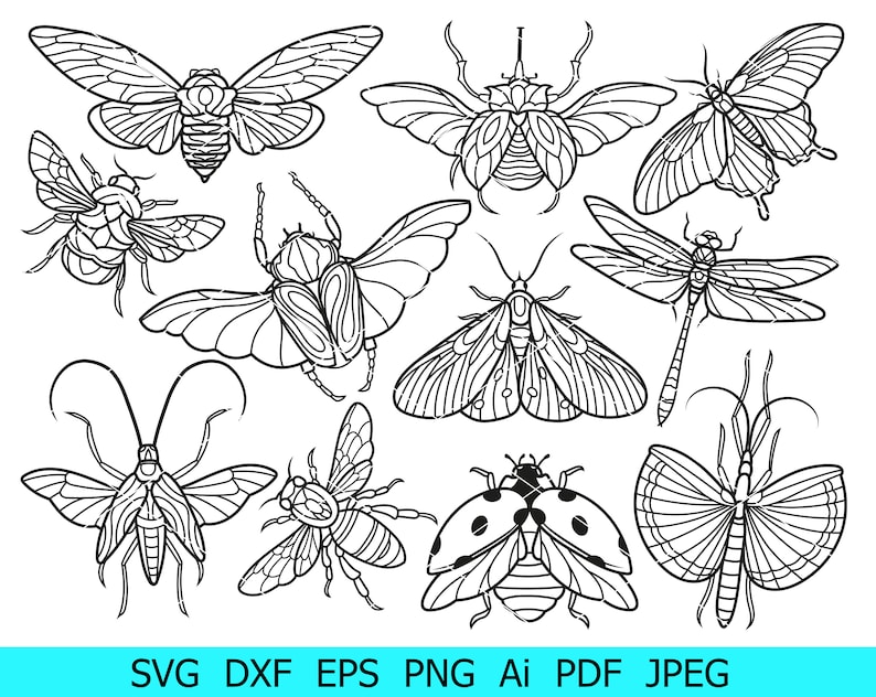Insect Svg,ladybug Svg,dragonfly Svg,scarab Beetle Png,insect Svg ...
