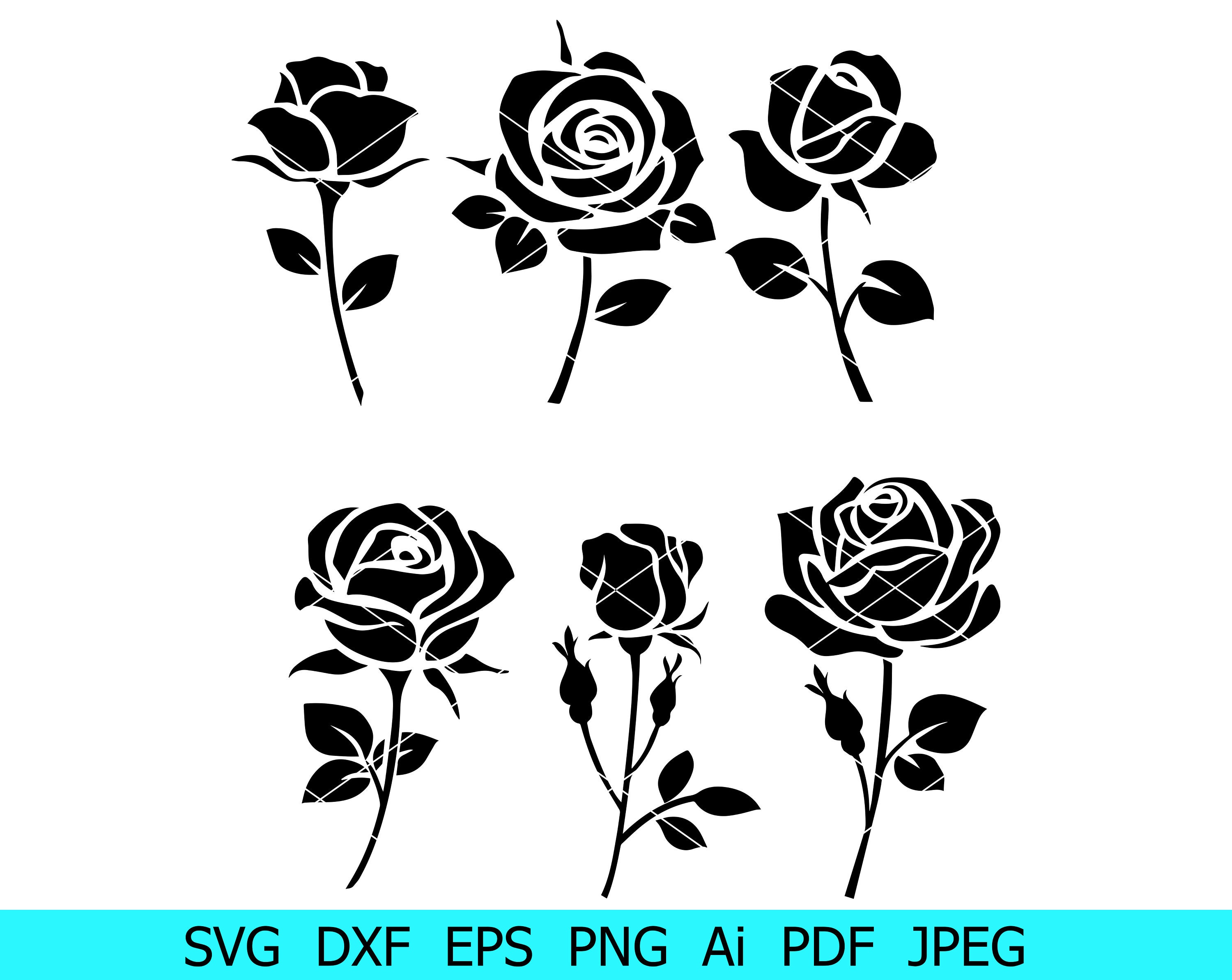 Rosas SVG