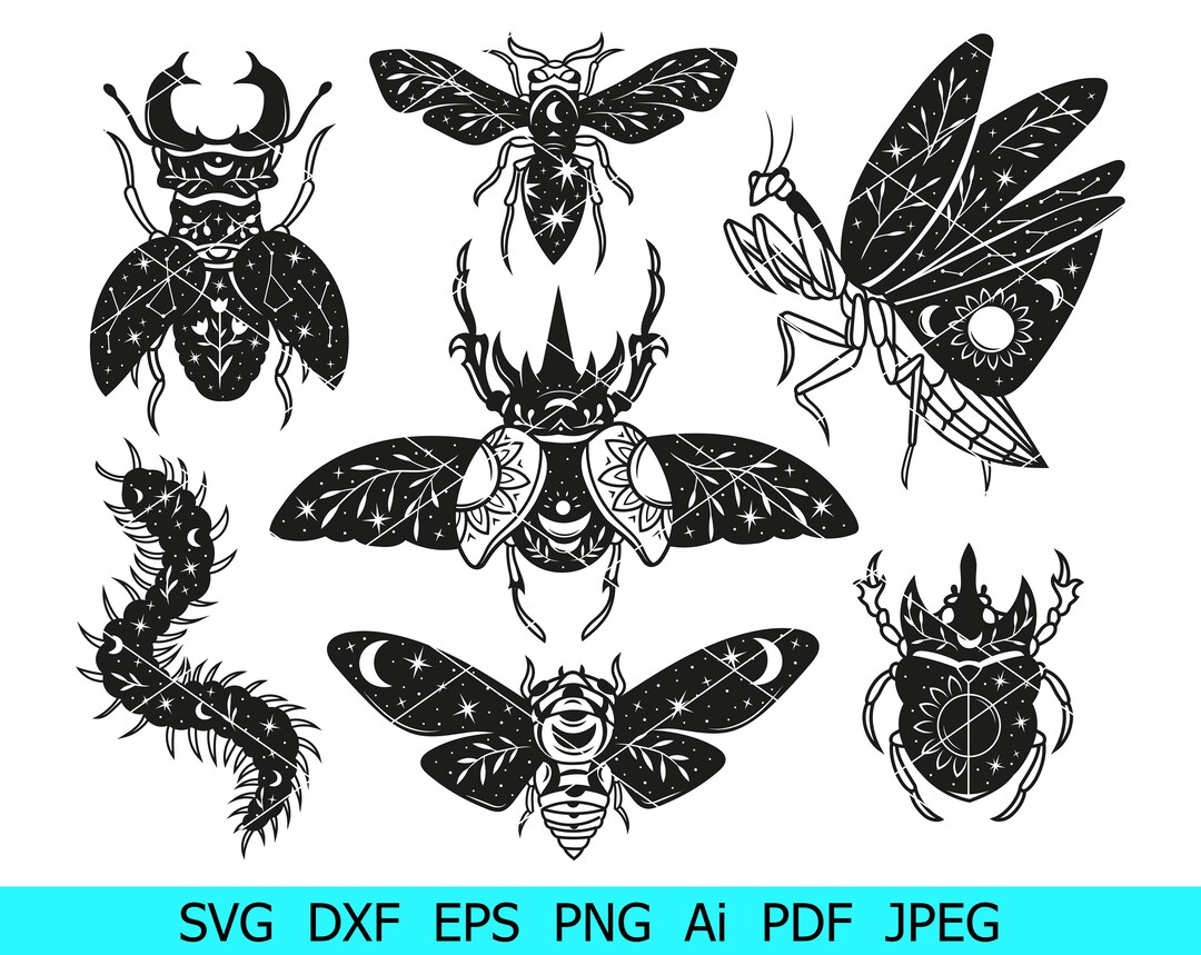 Insect Svg, Stag Beetle Svg, Insect Svg Bundle, Floral Insect ...