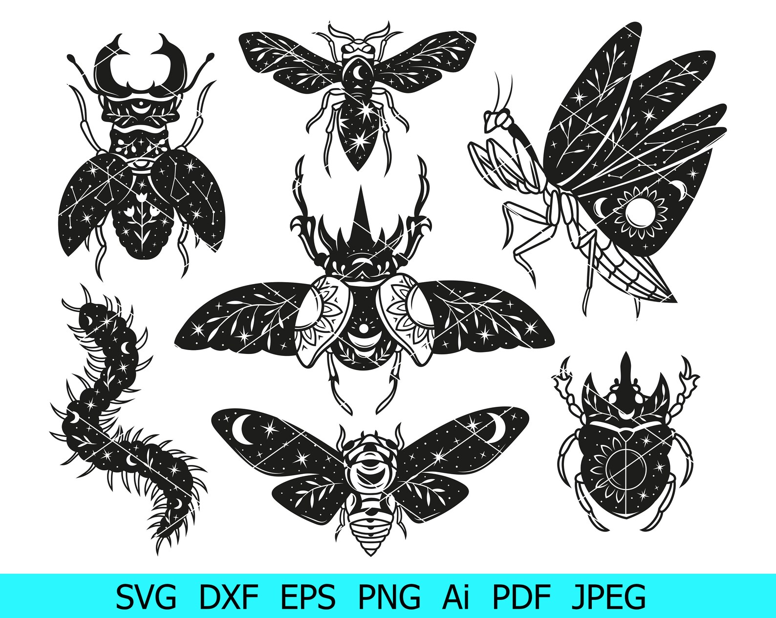 Insect Svg, Stag Beetle Svg, Insect Svg Bundle, Floral Insect ...