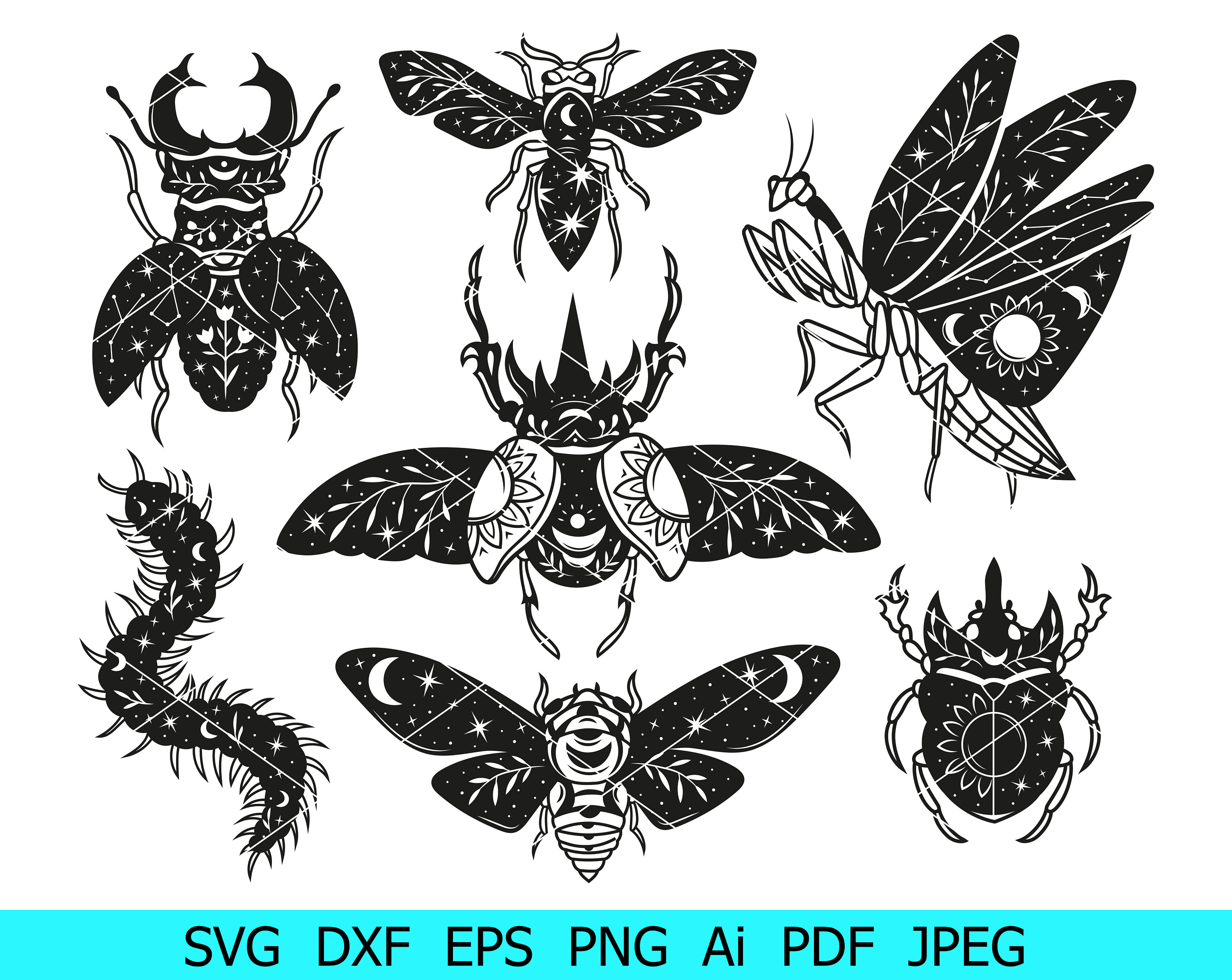 Insect Svg, Stag Beetle Svg, Insect Svg Bundle, Floral Insect ...