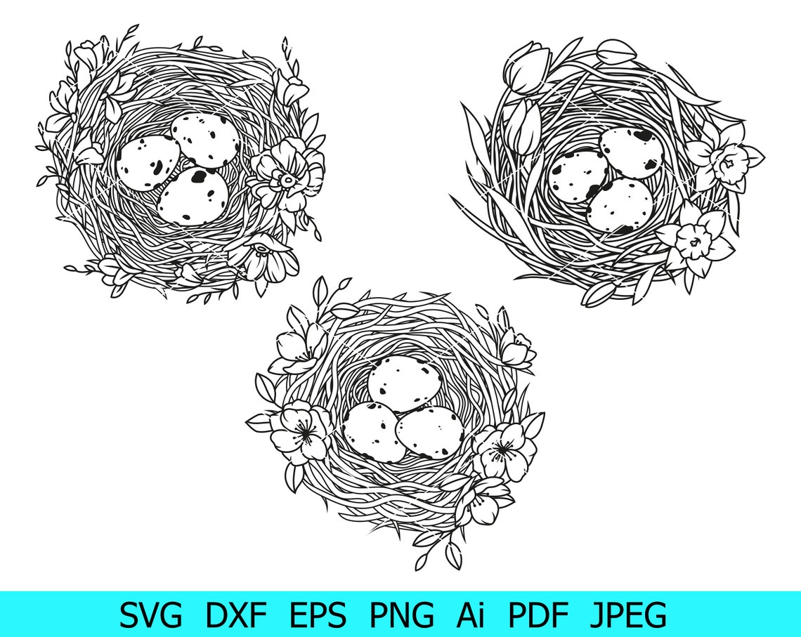 Bird Nest Svg, Bird Png, Bird Nest Cricut, Bird Eggs Svg, Nature Svg ...