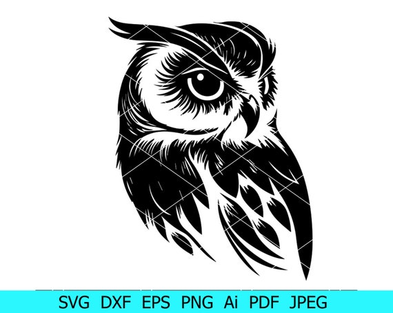 Cool Owl Designs