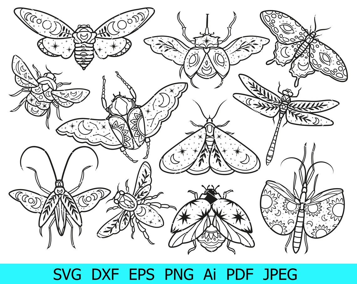 Insect Svg, Mystical Insect Png, Ladybug Svg,dragonfly Svg, Insect Svg ...