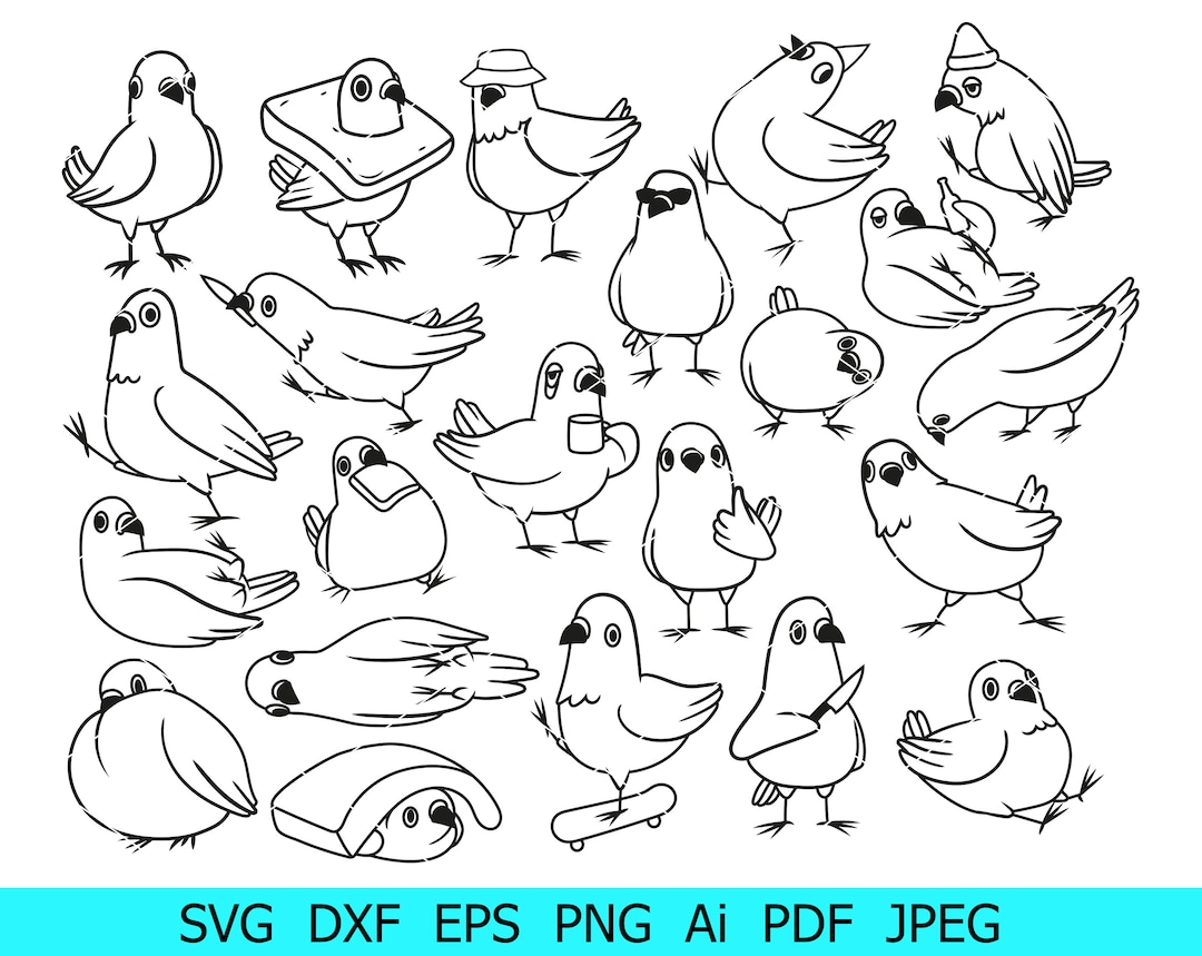 Pigeon Svg, Funny Cartoon Pigeon Svg, Pigeon Png Bundle, Funny Birds ...
