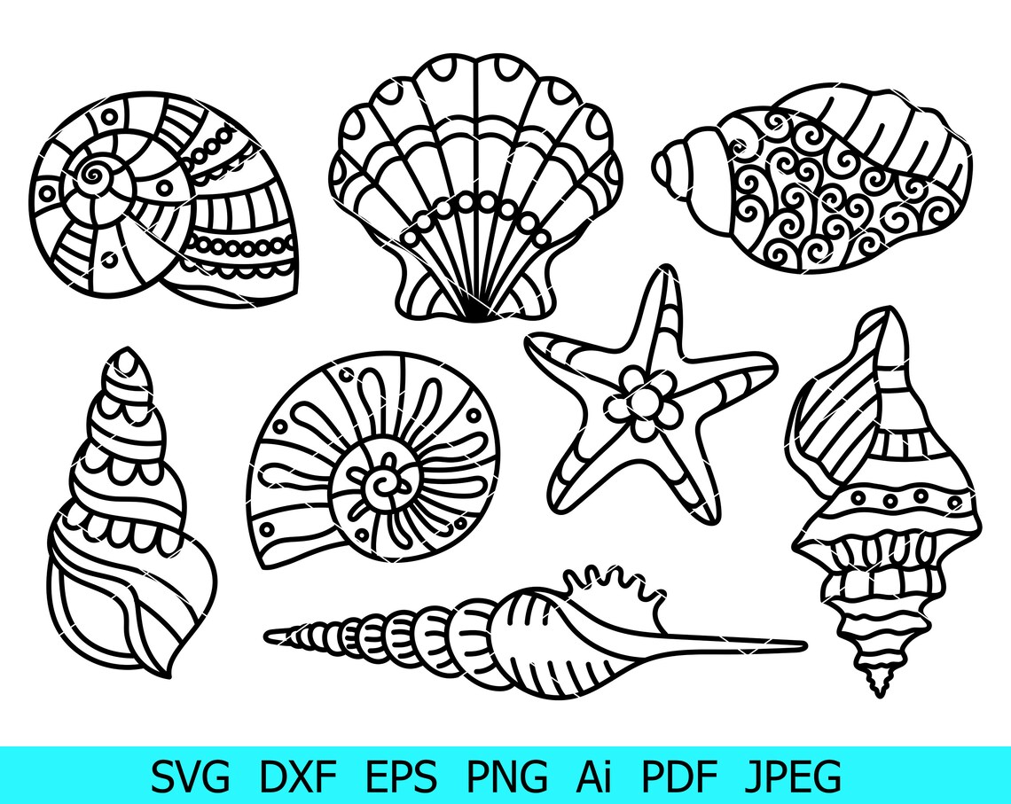 Seashell Svg, Ocean Png, Seashell Bundle Svg, Seashell Clipart, Sea ...