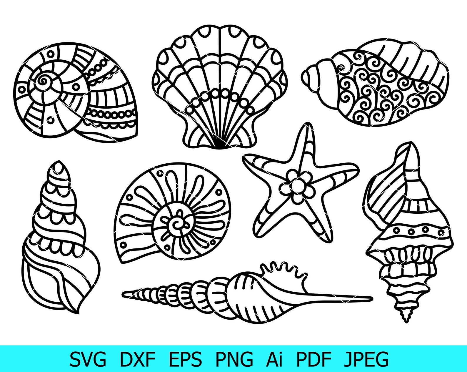Seashell Svg, Ocean Png, Seashell Bundle Svg, Seashell Clipart, Sea ...