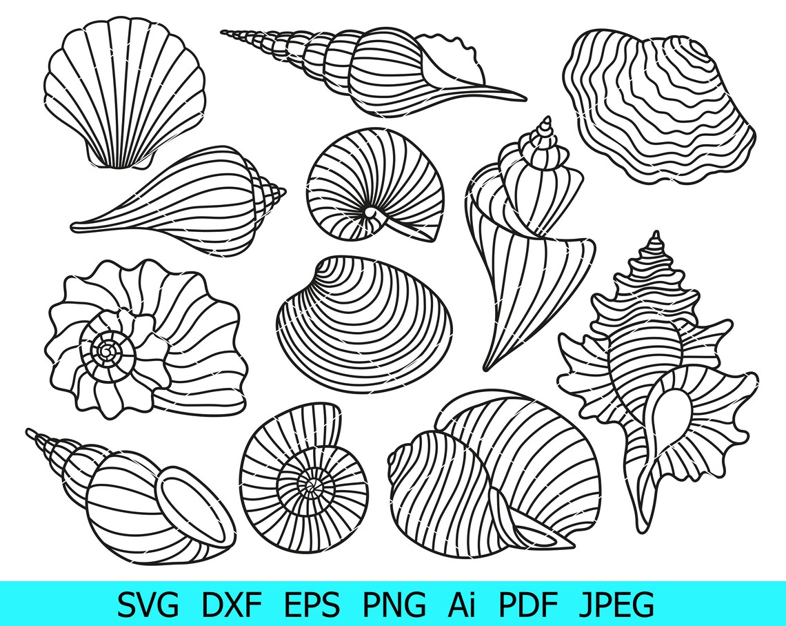 Seashell Svg, Ocean Png, Seashell Bundle Svg, Seashell Clipart, Sea ...