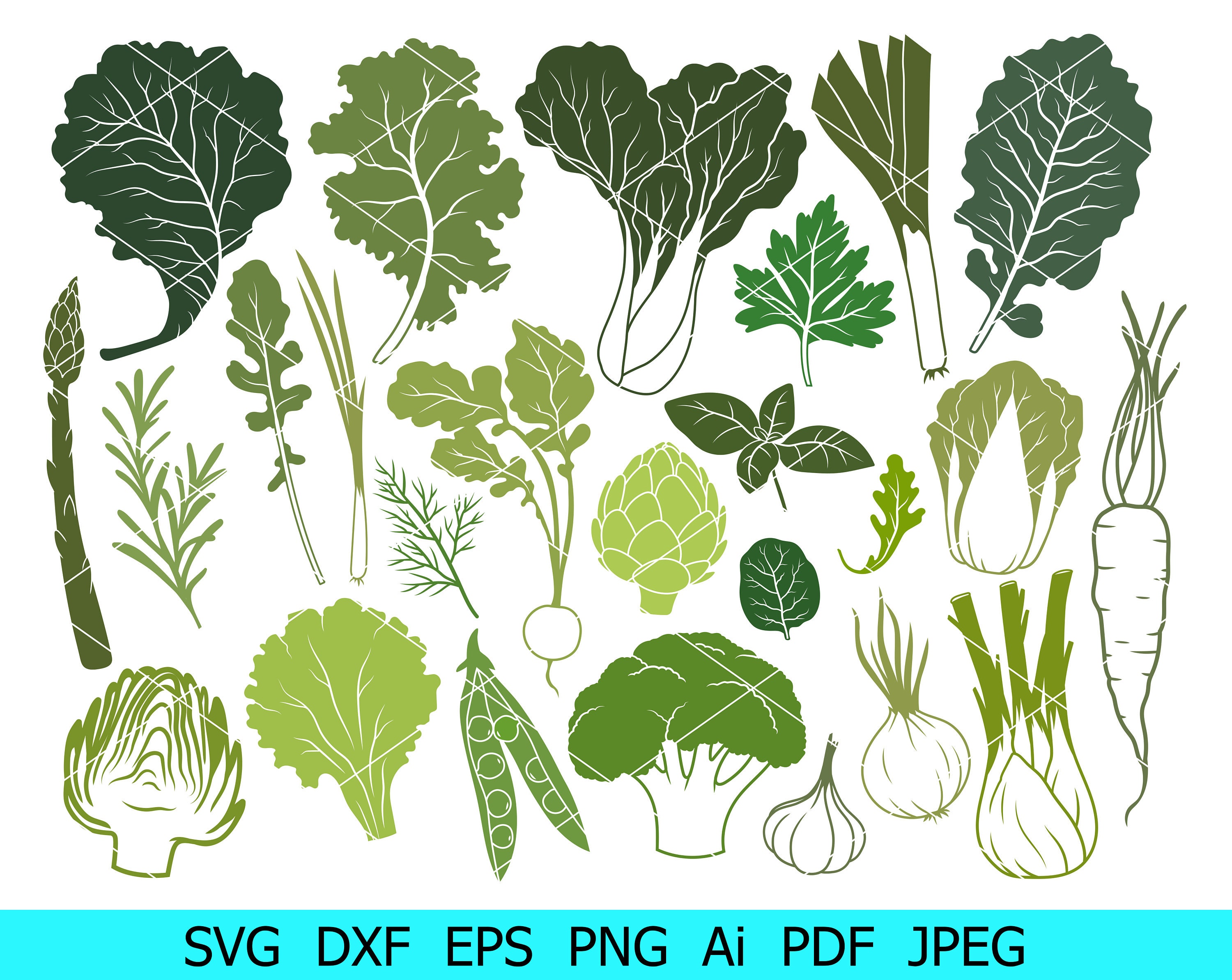 Vegetables Svg, Green Vegetables Png, Healthy Eating Clip Art, Onion ...