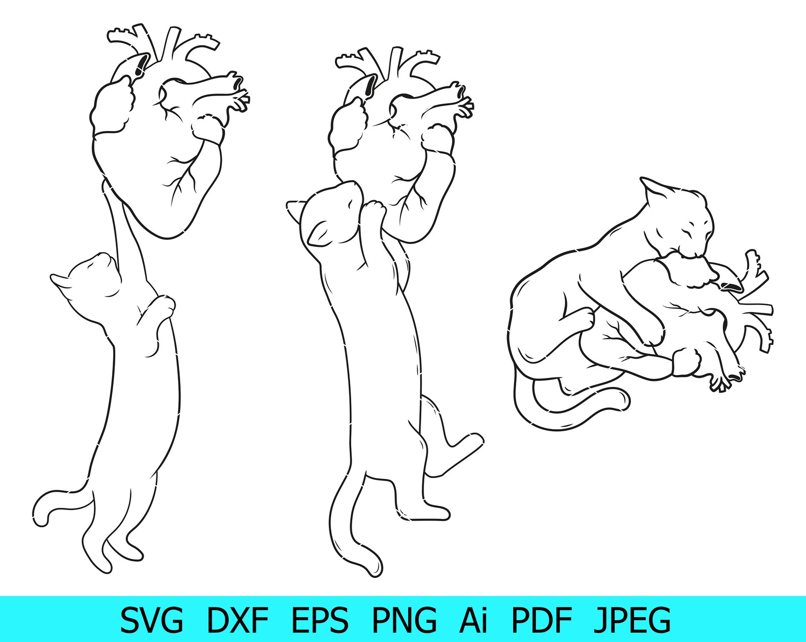 Сat and Heart Svg, Сat Svg, Heart Svg, Сat and Heart Svg Bundle ...