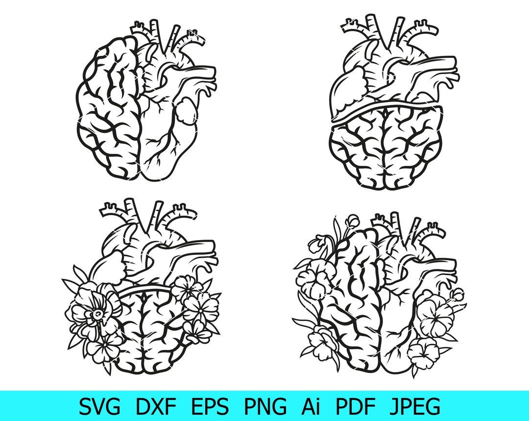 Brain Svg,heart Svg,brain With Heart Bundle,heart and Brain Png,brain ...