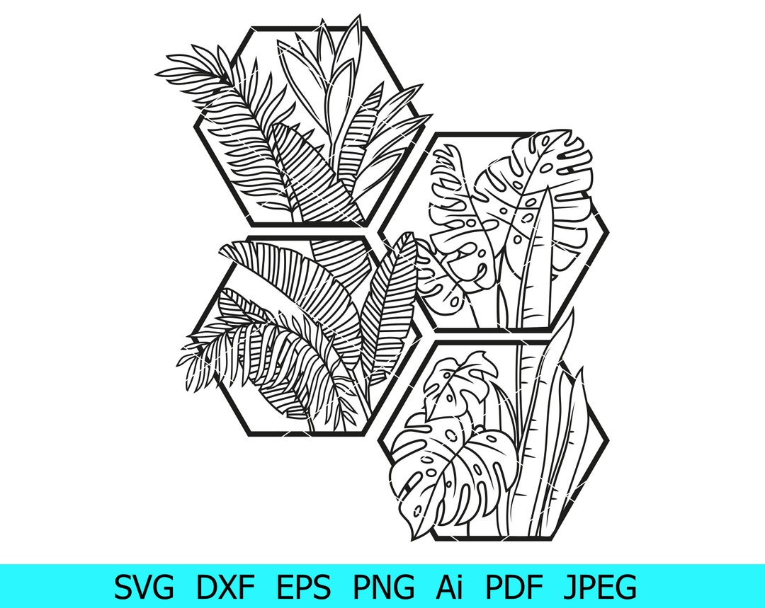 Plants in Honeycombs Svg, Plants in a Frame Svg, Plants Png, Garden Svg ...