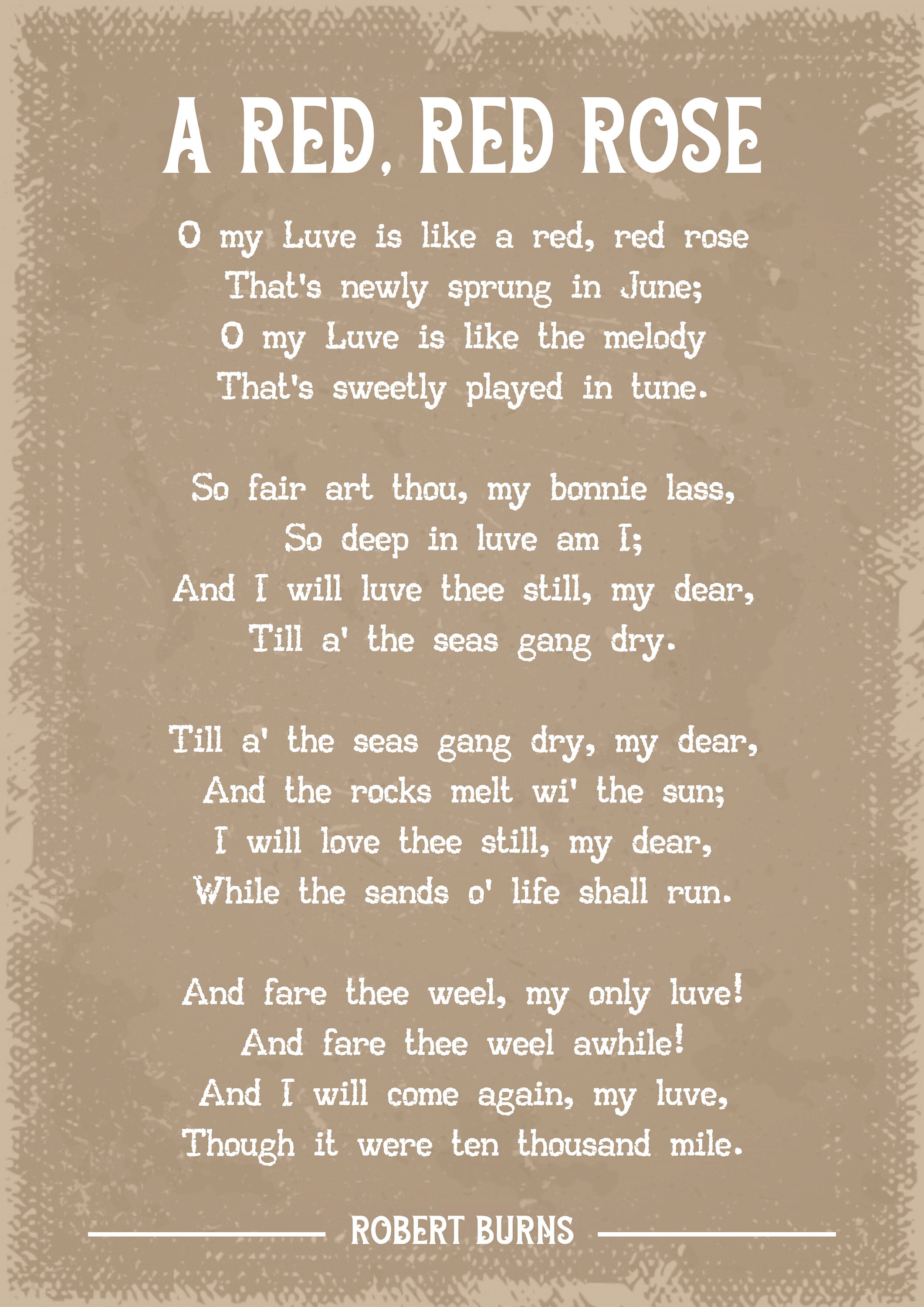 Robert Burns A Red Red Rose Poem Art Print | Etsy