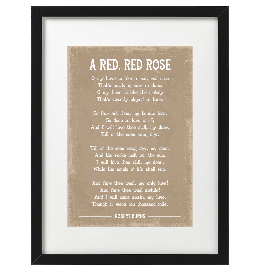 Robert Burns A Red, Red Rose Poem Art Print - Etsy