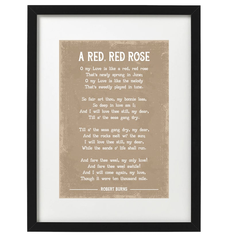 Robert Burns A Red Red Rose Poem Art Print | Etsy