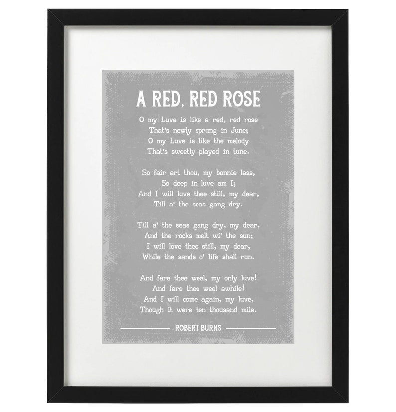Robert Burns A Red, Red Rose Poem Art Print - Etsy