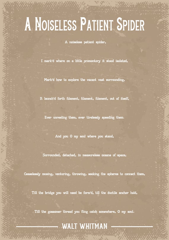 A Noiseless Patient Spider