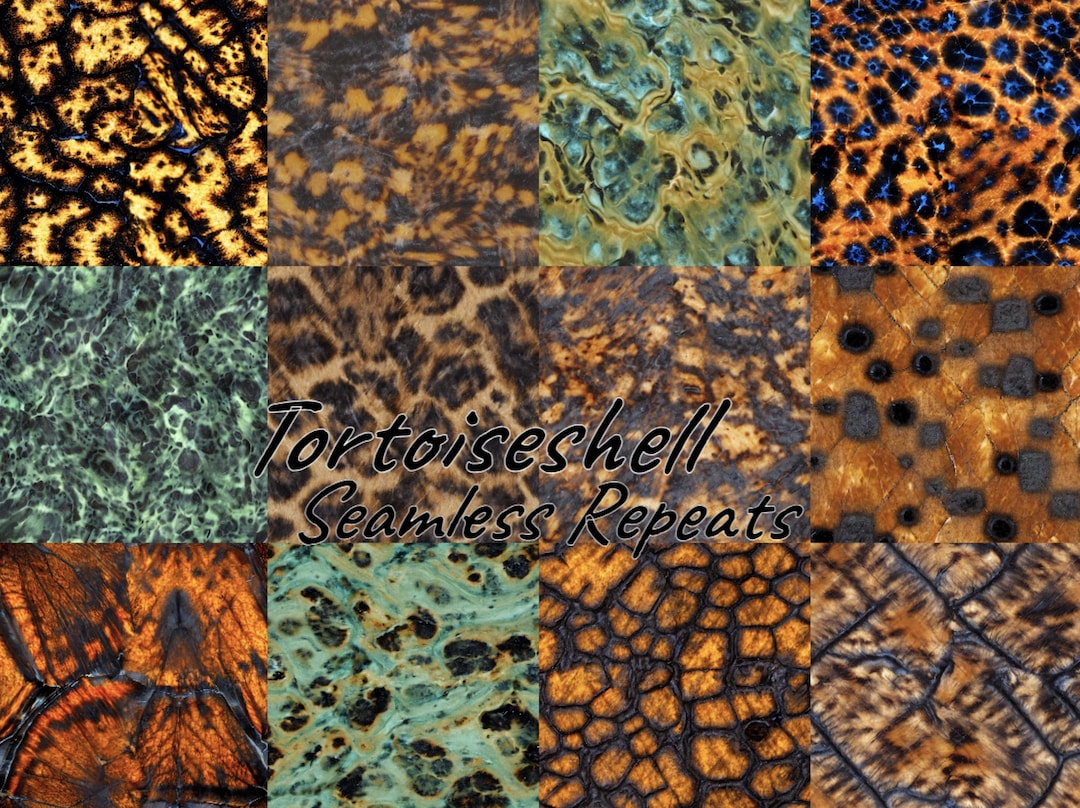 Tortoiseshell Seamless Repeats - Digital Download Printable - Etsy