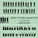 Bodied - the Body Language Font - .ai .svg .eps .png - Two Full ...