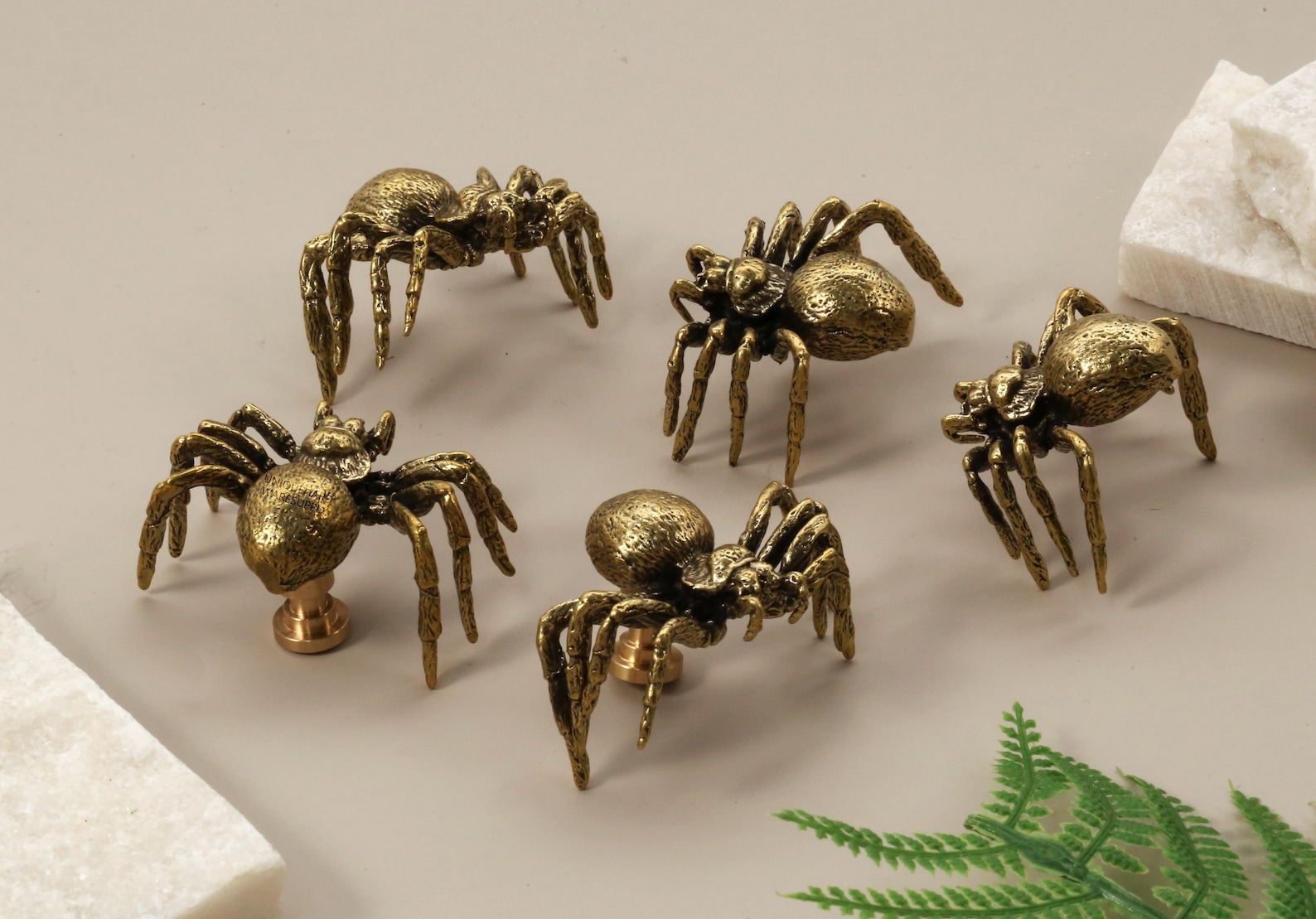 Solid Brass Spiderknobs, Spider Style Modern Cabinet & Drawer Pulls ...