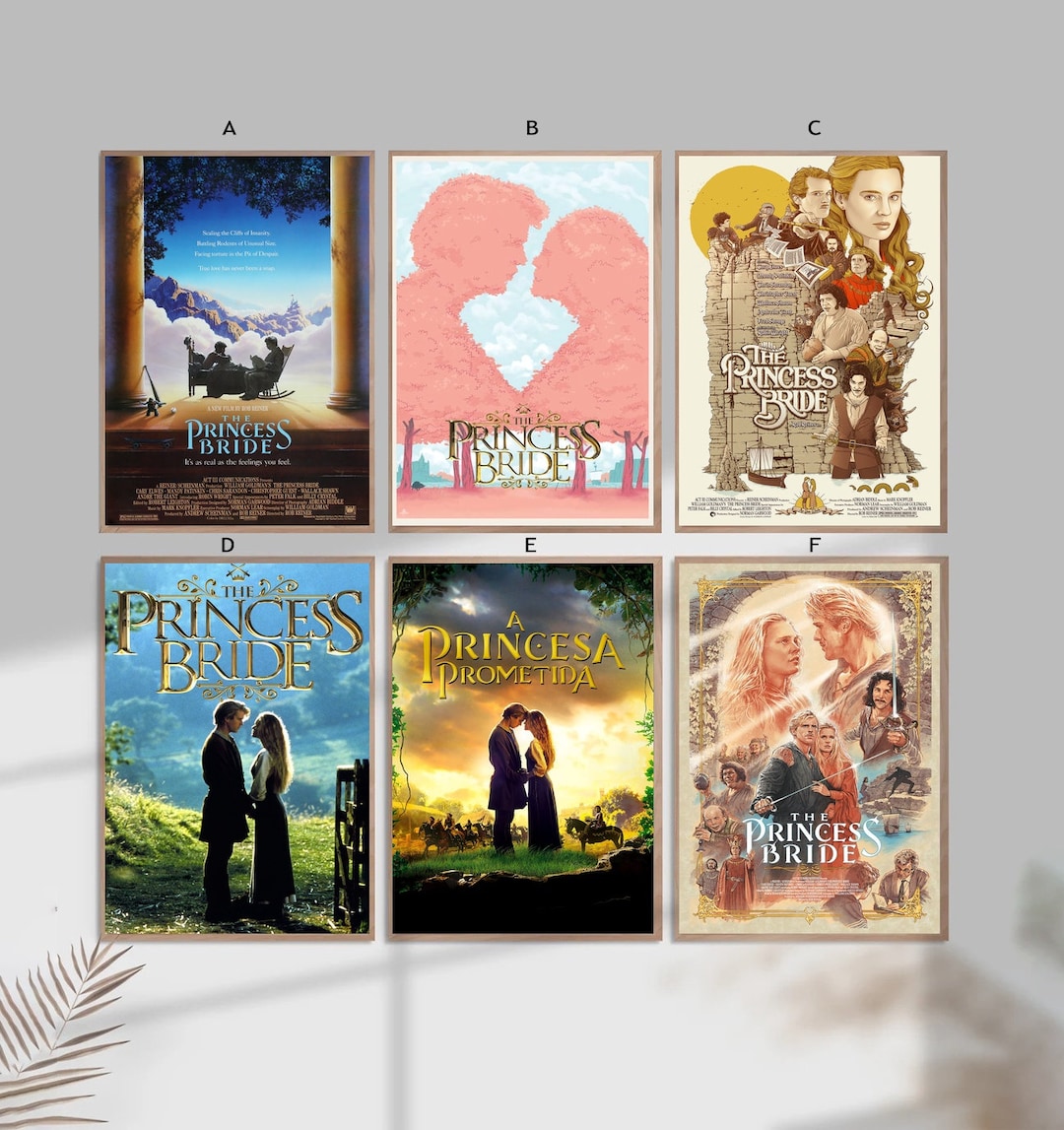 The Princess Bride Film Classic Movie Home Decor Canvas Poster Unframe ...