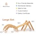 Climbing Set of 3 Items Arch Foldable Triangle Ramp Ladder/slide ...