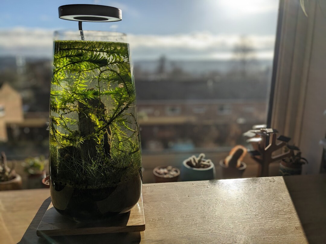 DIY Ecosphere Kit - Rainbow Slate - Aquatic Ecosystem - Etsy UK