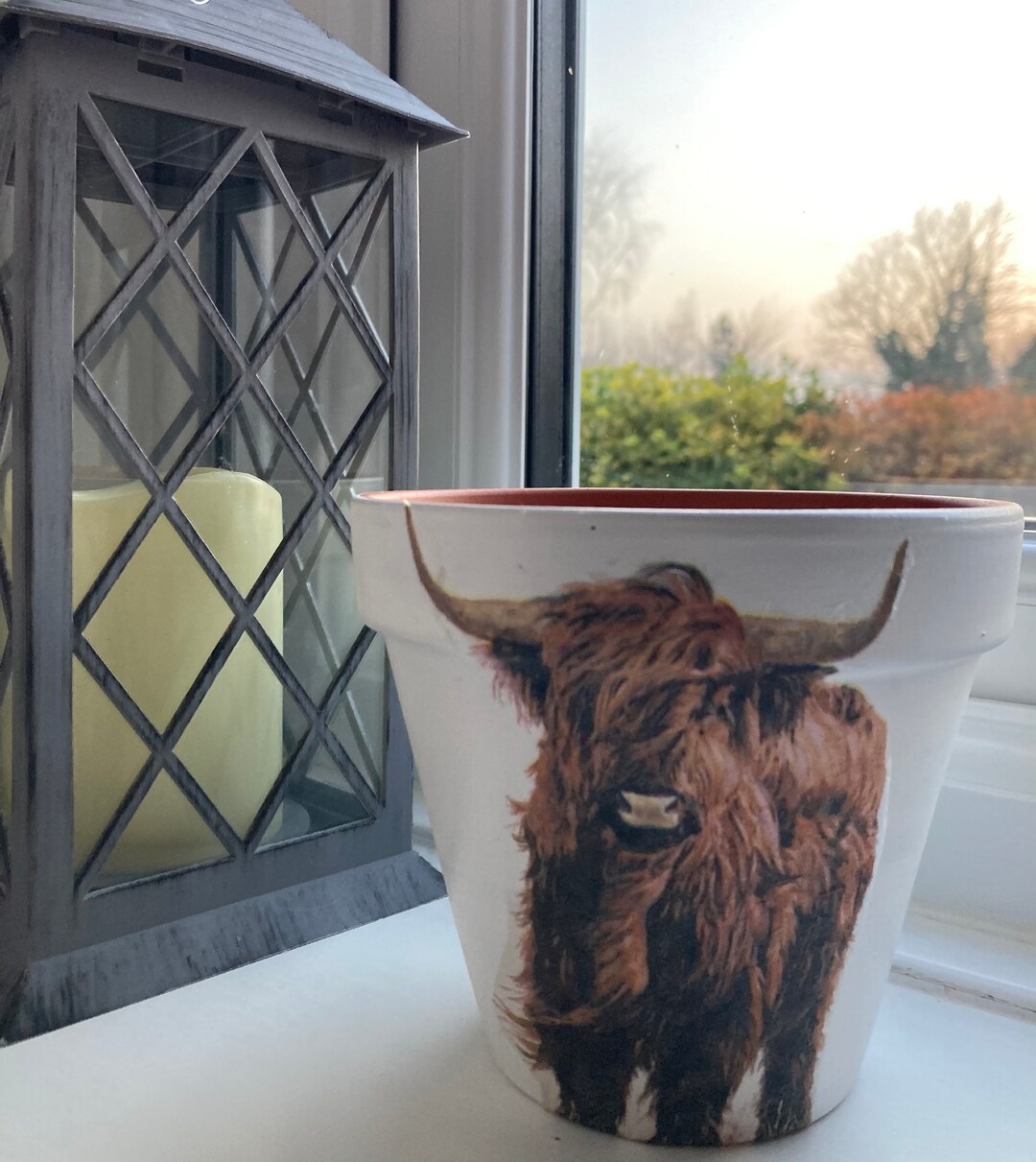 Highland Cow, Indoor Plant Pot, Highland Cow Gift, House Plant Pot ...