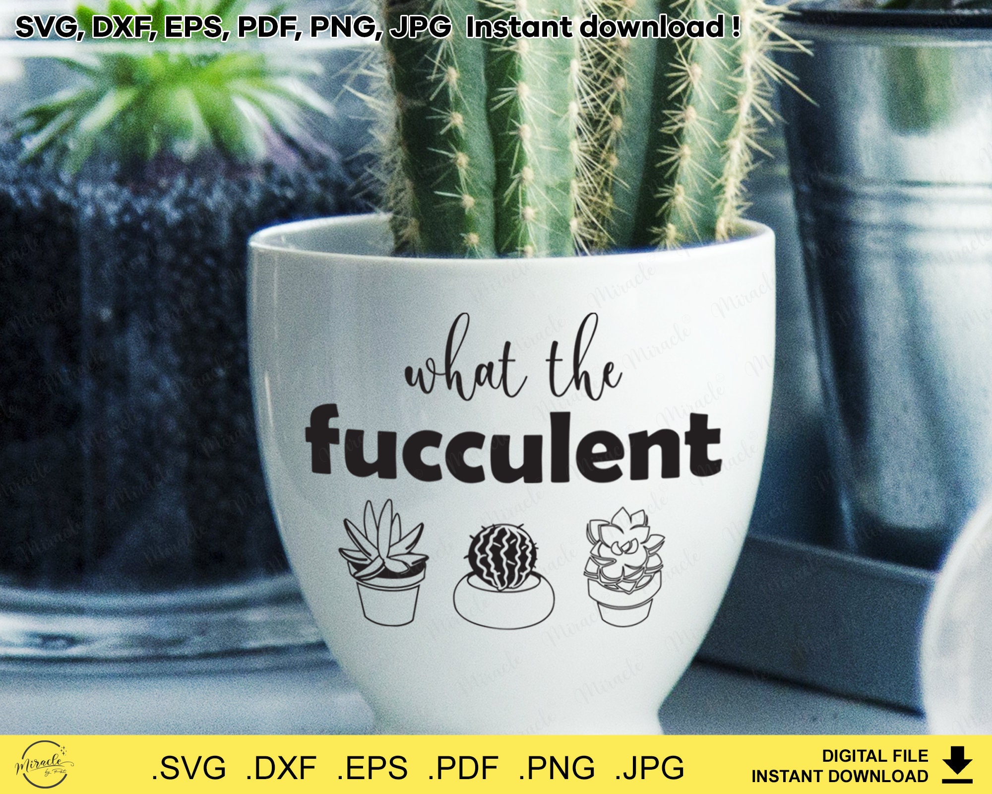 What the Fucculent SVG | Succulent SVG | Funny Gardening | Cutting ...