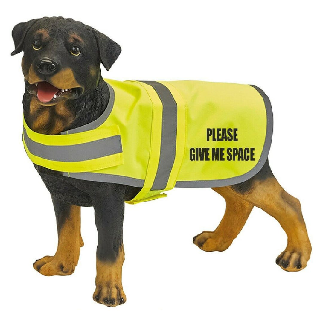 Custom Dog Coat, Personalised Service Dog Vest, Give Me Space Vest, Hi ...
