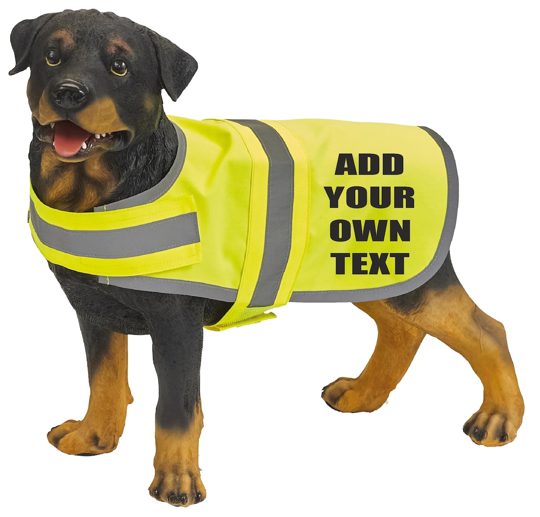 Personalised Dog Coat, Custom Dog Vest, Assistance Dog Training, Hi Vis ...