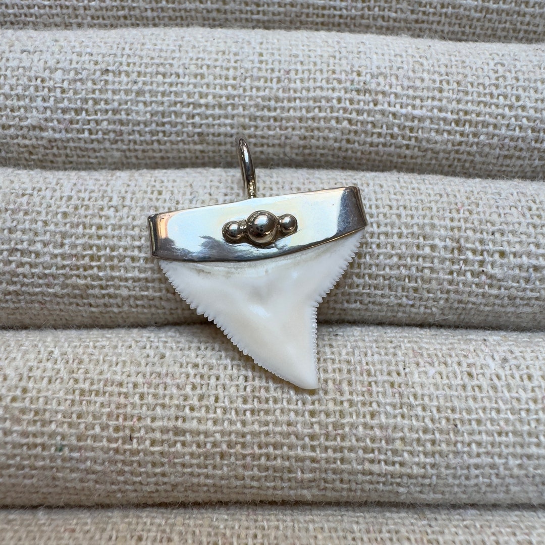 Shark Tooth Silver Pendant, Ocean Silver Jewelry, Silver Jewelry, Shark Tooth, Shark Tooth ...