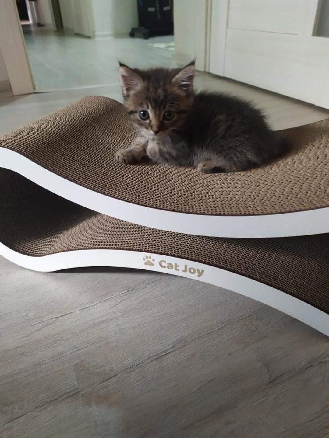 Cat Scratching Post AVANGARD Corrugated Cardboard Scratching Board ...