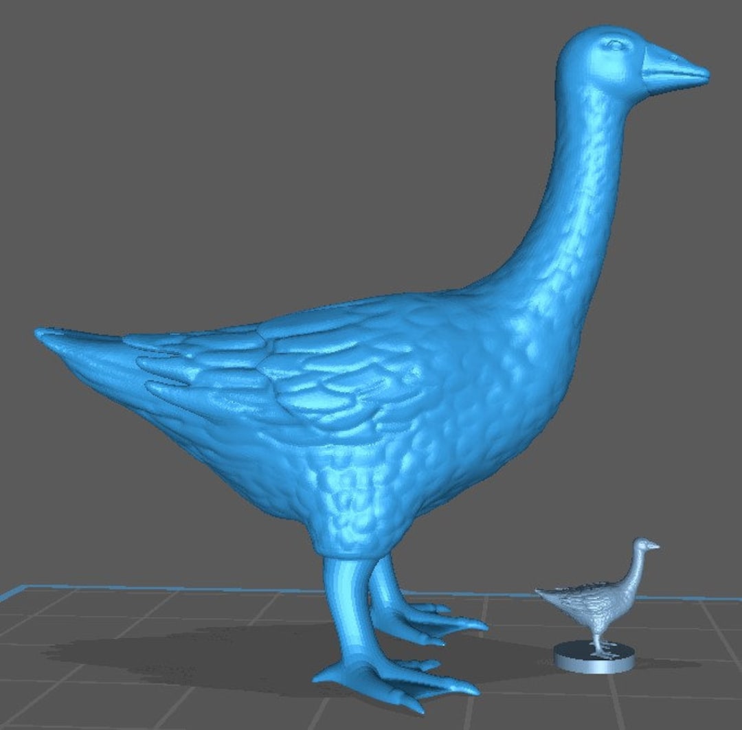 Huge Unnamed Goose - Etsy