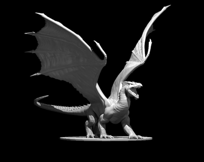 White Dragon Multiple Sizes 3D Printed Dnd Miniature - Etsy Canada