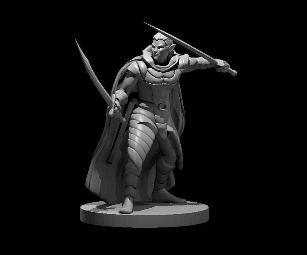 Elf Male Two Sword Ranger 3 - Etsy