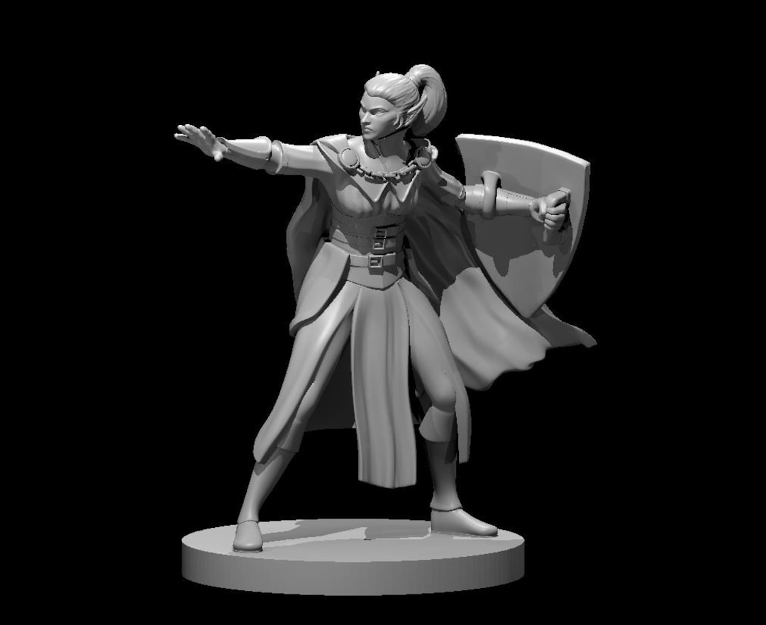 Elf Female Warlock With Shield - Etsy