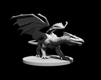 Dnd Young White Dragon Miniature - Etsy