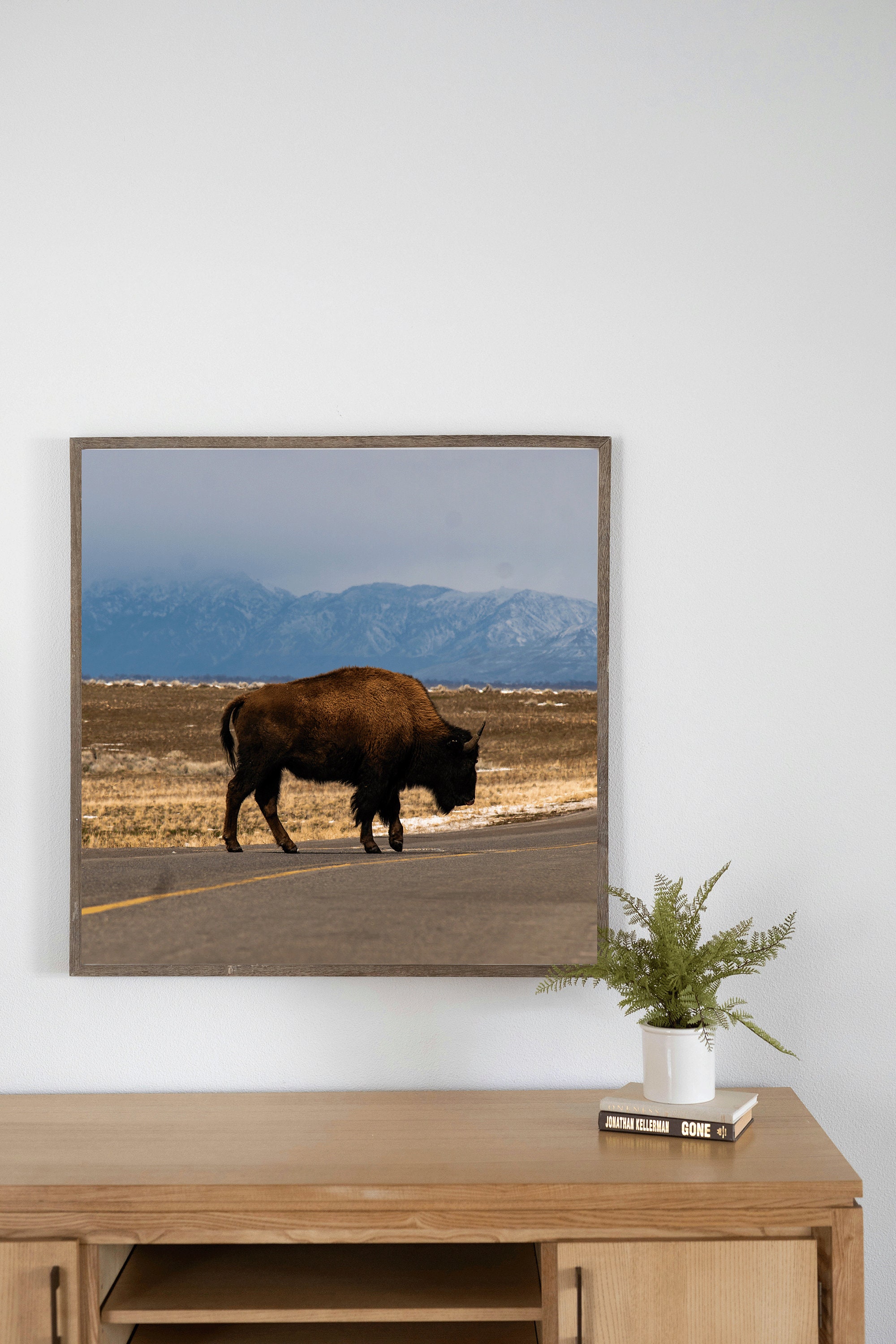 Buffalo Crossing the Road Digital Print - Etsy