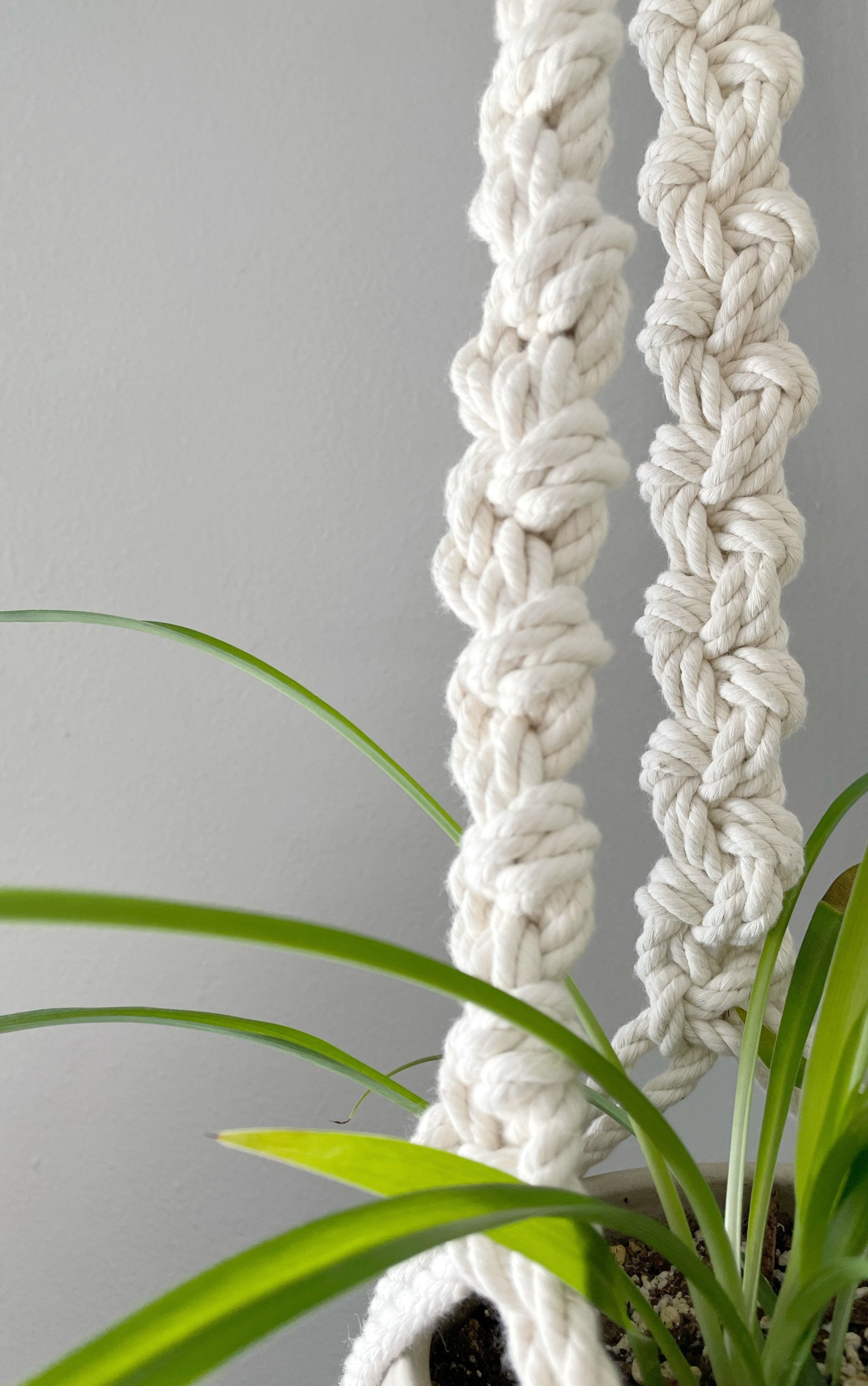 Modern Macrame Plant Hanger Long Hanging Planter Medium Pot - Etsy