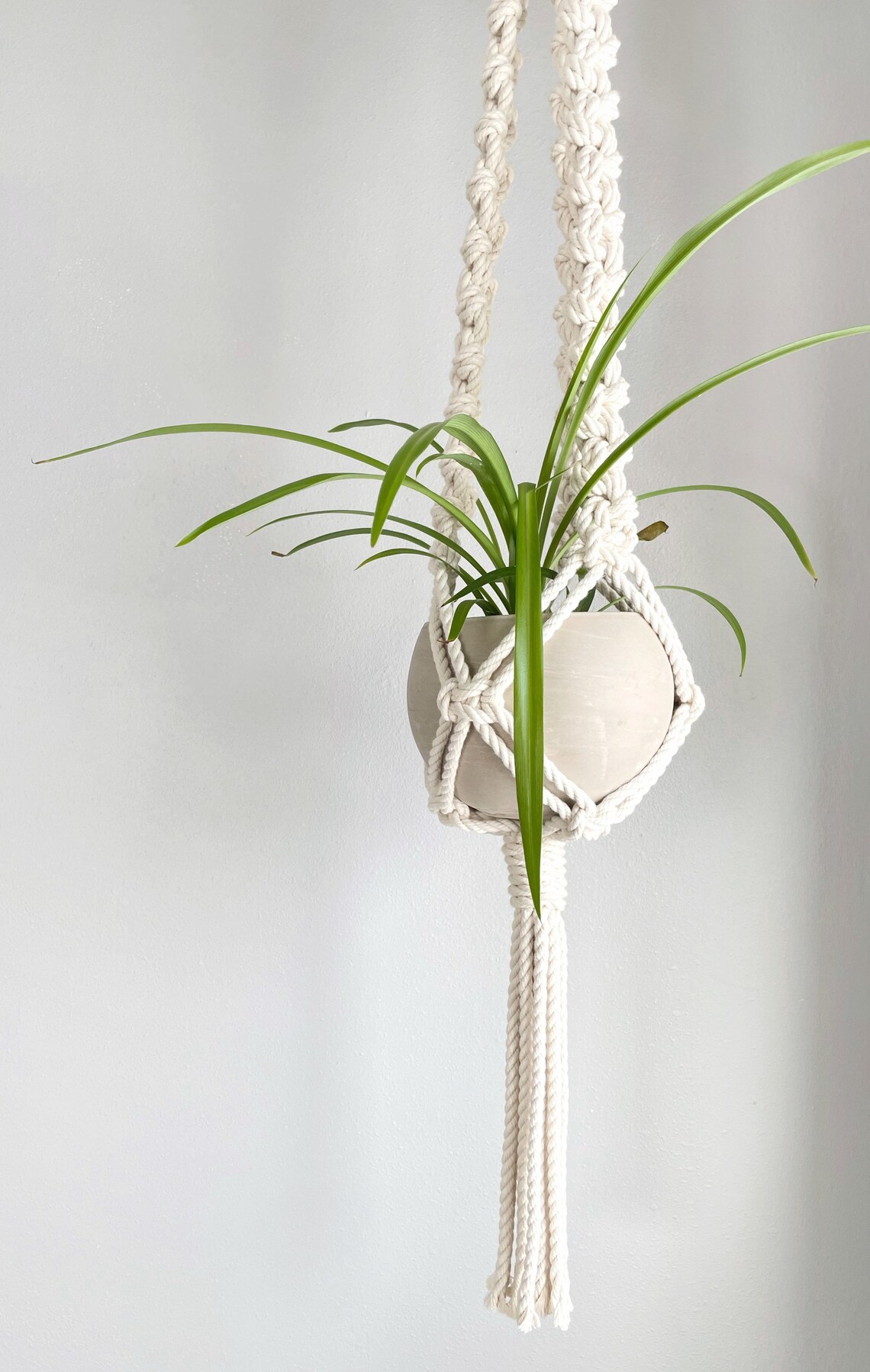Modern Macrame Plant Hanger, Long Hanging Planter, Medium Pot Plant ...