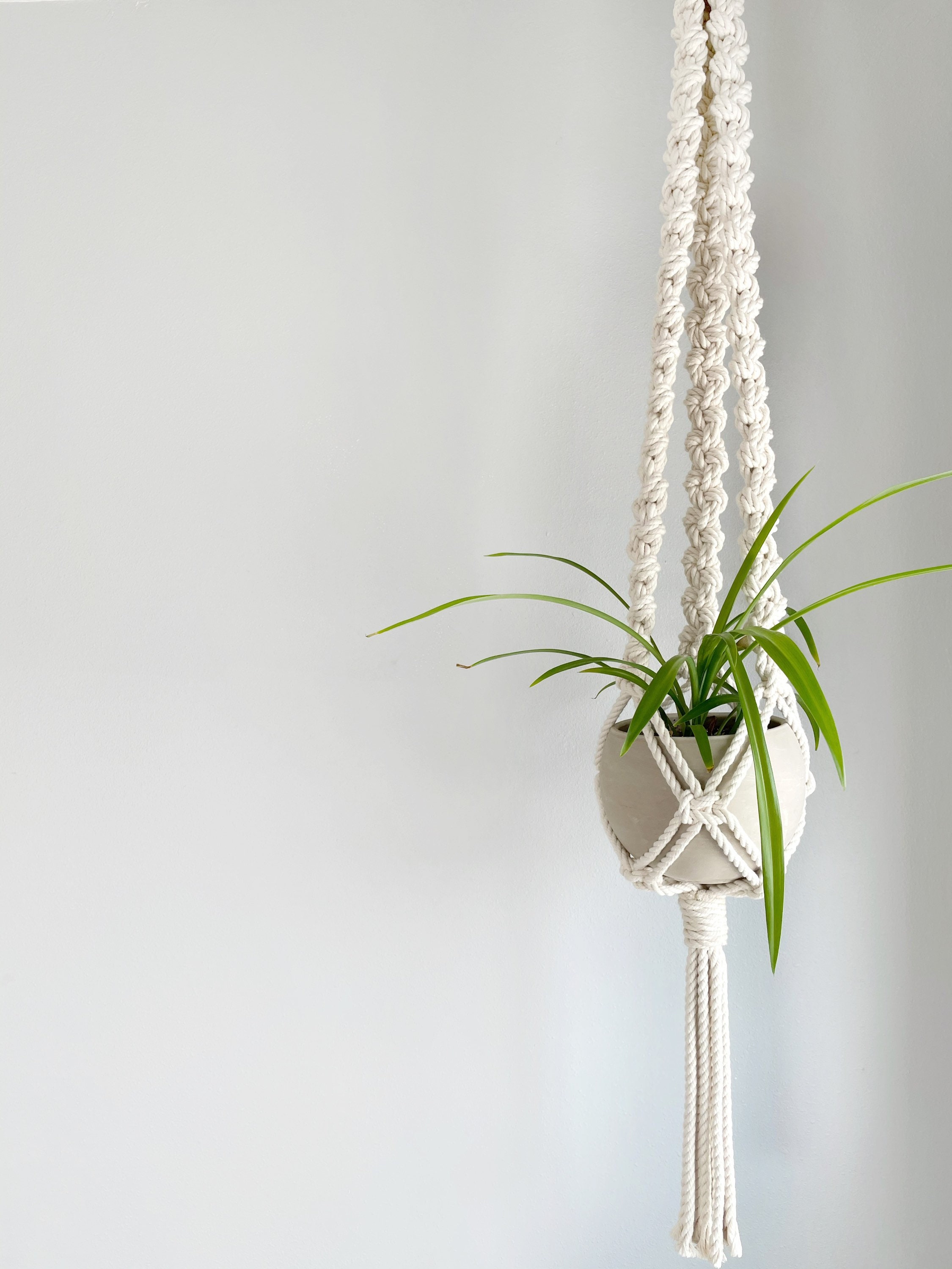 Modern Macrame Plant Hanger Long Hanging Planter Medium Pot - Etsy