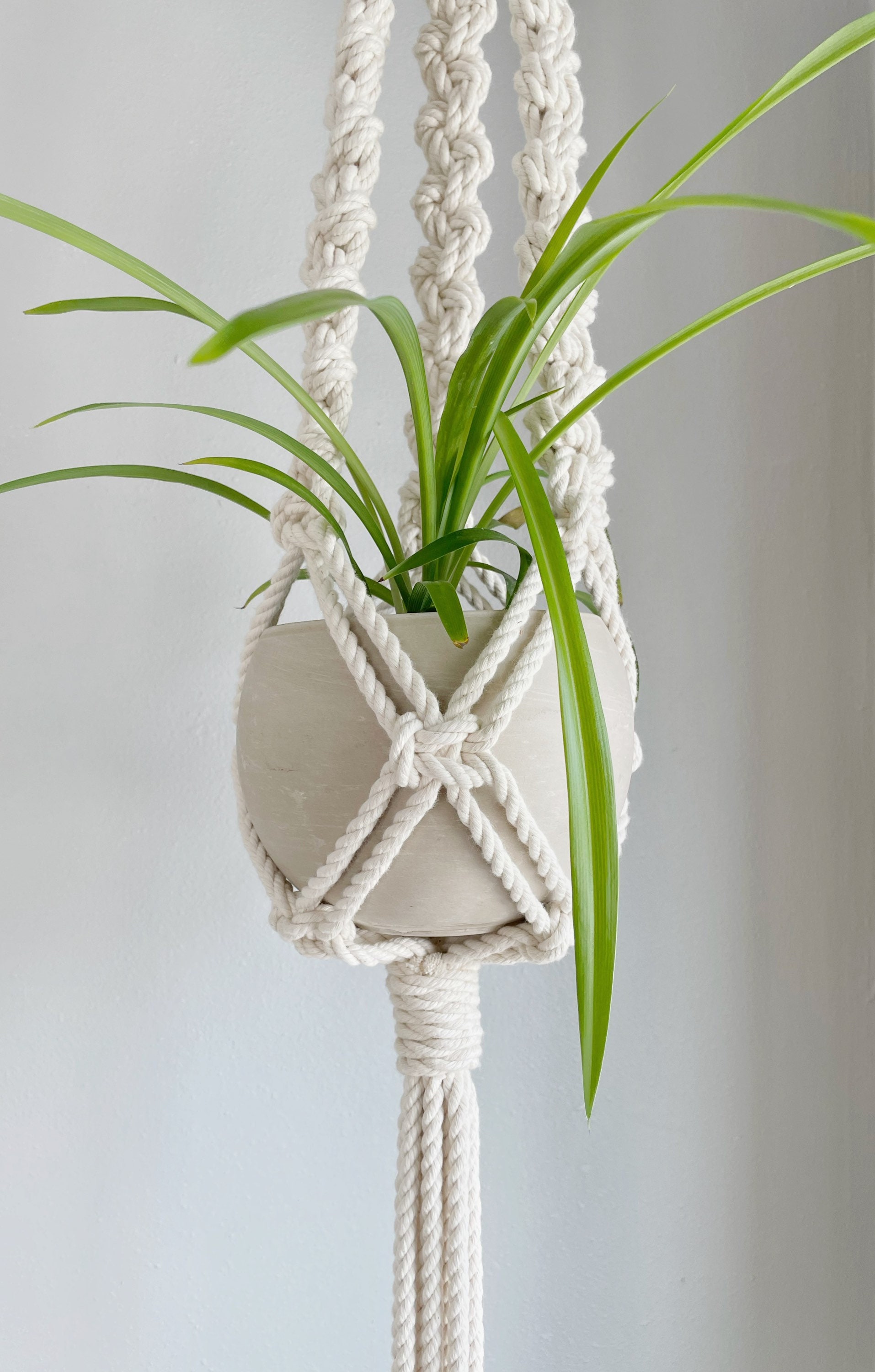 Modern Macrame Plant Hanger Long Hanging Planter Medium Pot - Etsy