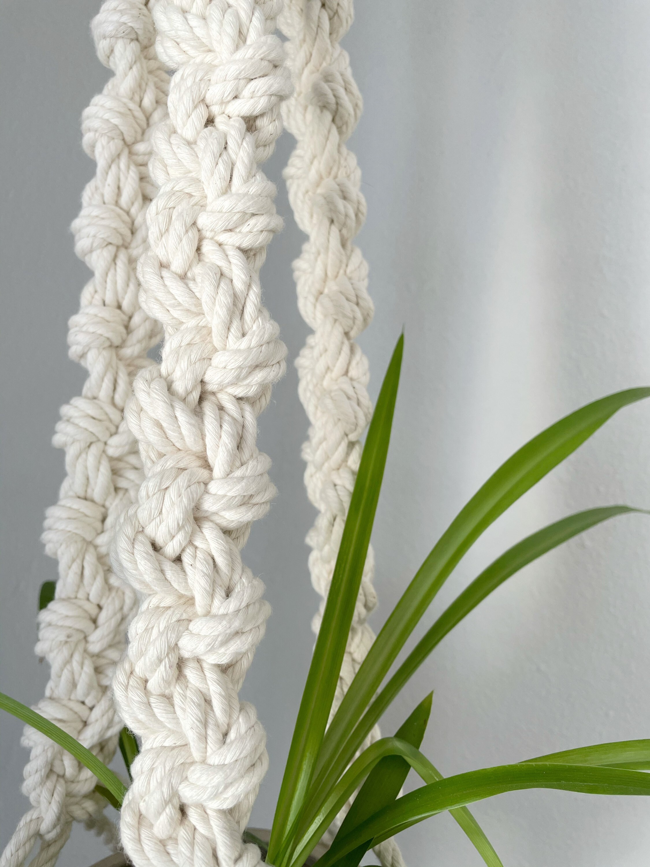 Modern Macrame Plant Hanger Long Hanging Planter Medium Pot - Etsy