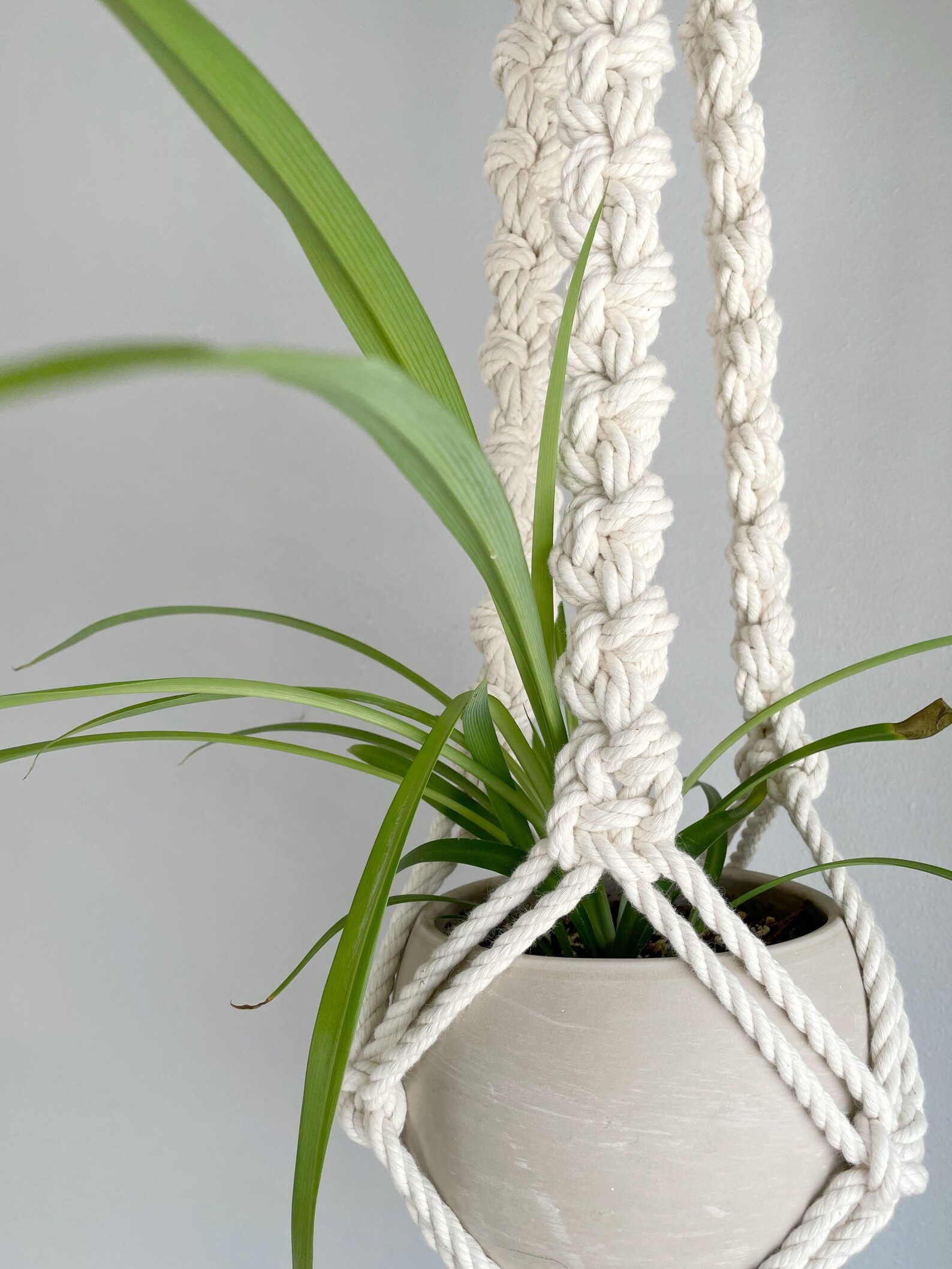 Modern Macrame Plant Hanger, Long Hanging Planter, Medium Pot Plant ...