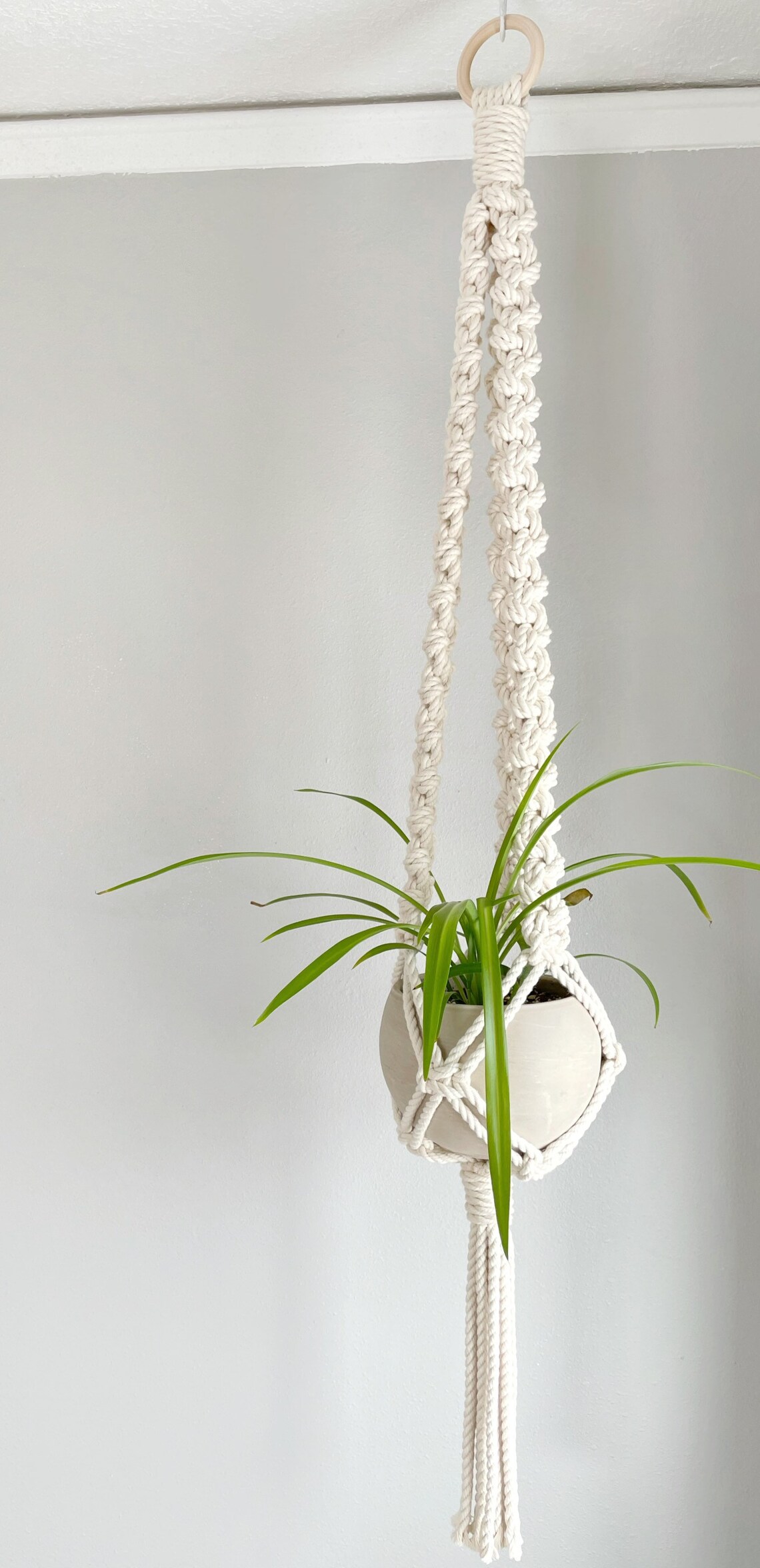 Modern Macrame Plant Hanger Long Hanging Planter Medium Pot - Etsy